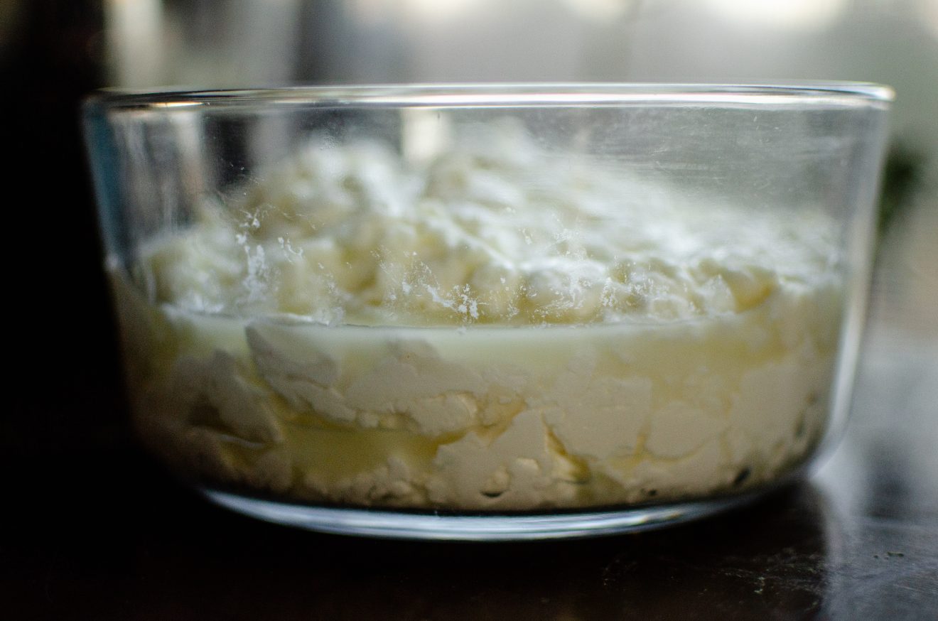 How to Make Yogurt with Raw Milk - Mighty Roots Homestead