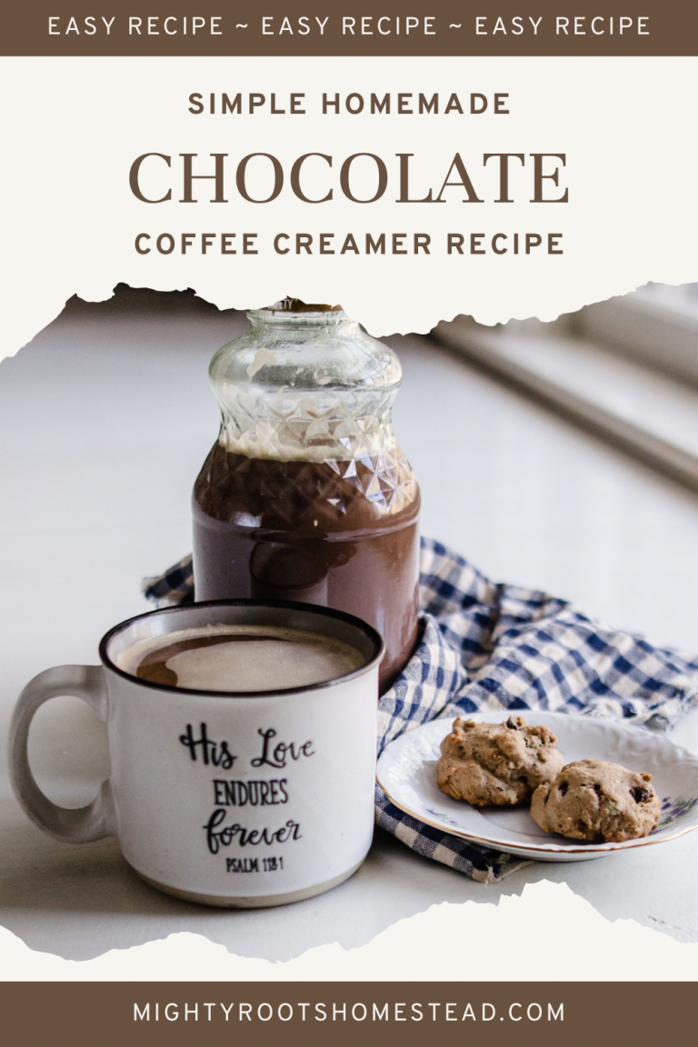 Simple Homemade Chocolate Coffee Creamer Recipe - Mighty Roots Homestead