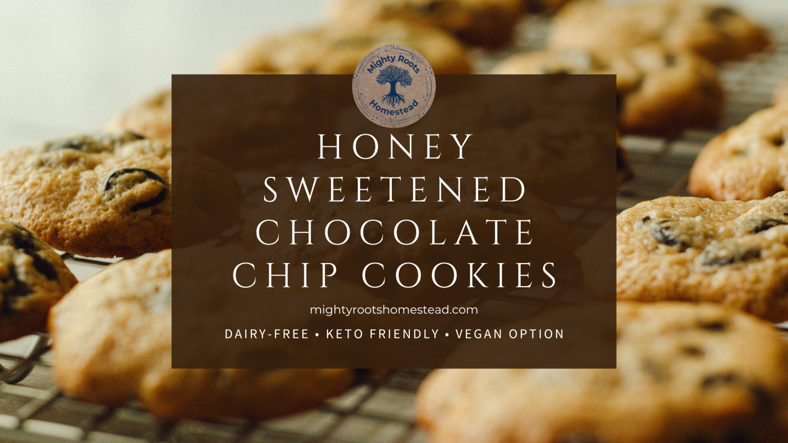 Honey Sweetened Dairy-Free Chocolate Chip Cookies Recipe - Mighty Roots ...