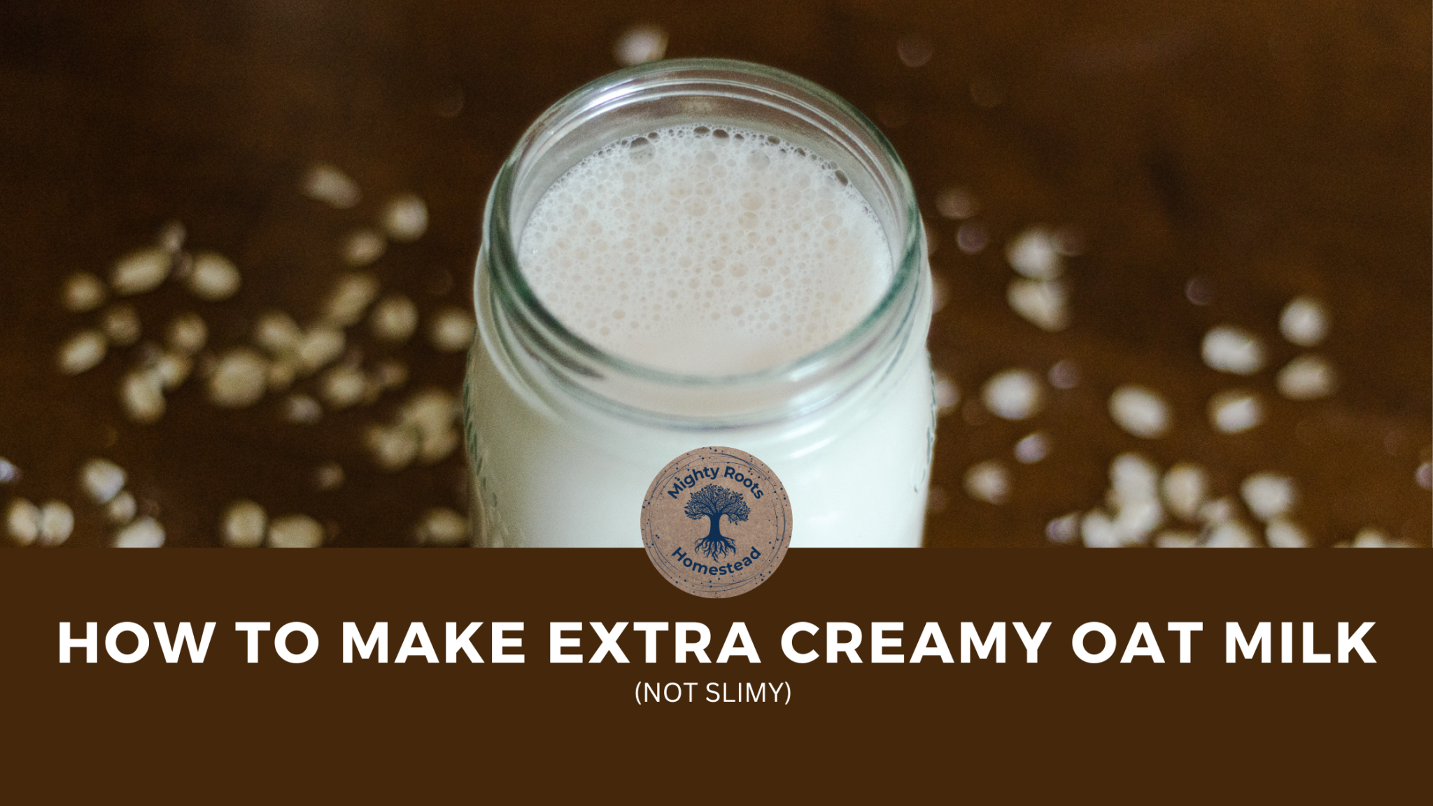 How to Make Creamy Oat Milk (NOT Slimy!) - Easy Recipe - Mighty Roots ...